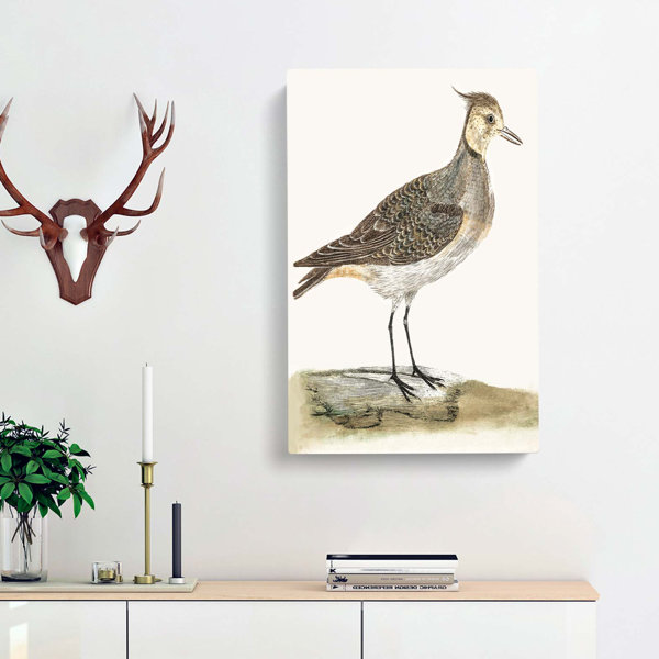 East Urban Home Lapwing by Johan Teyler - Wrapped Canvas Print | Wayfair.co.uk